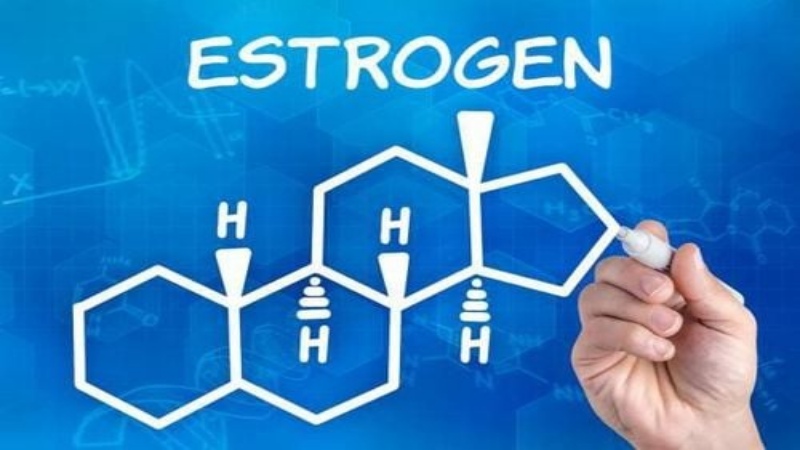 Estrogen cao ở nữ: Cách cân bằng nội tiết để bảo vệ hệ miễn dịch